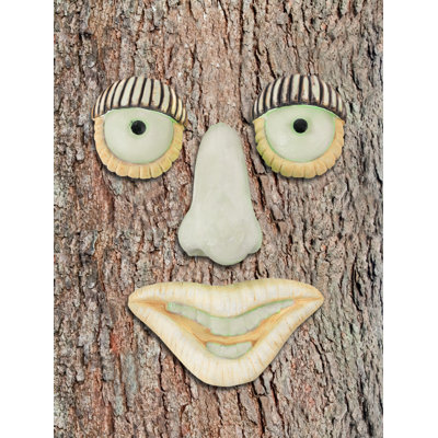 Resin Tree Faces | Wayfair