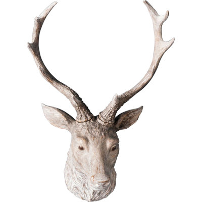 Wall Accents You'll Love | Wayfair.co.uk