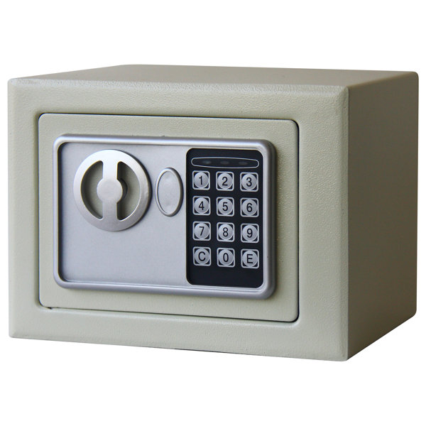 Dual-Lock GSA Approved Security Safes You'll Love in 2021 | Wayfair