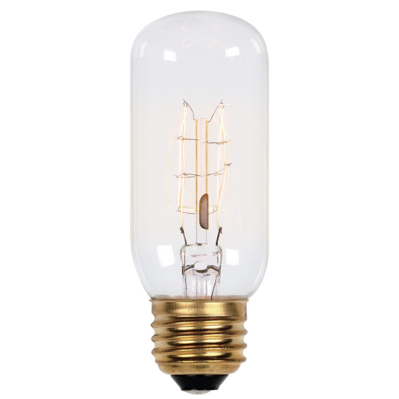 Westinghouse Lighting 60 Watt T12 Incandescent, Dimmable Light Bulb ...