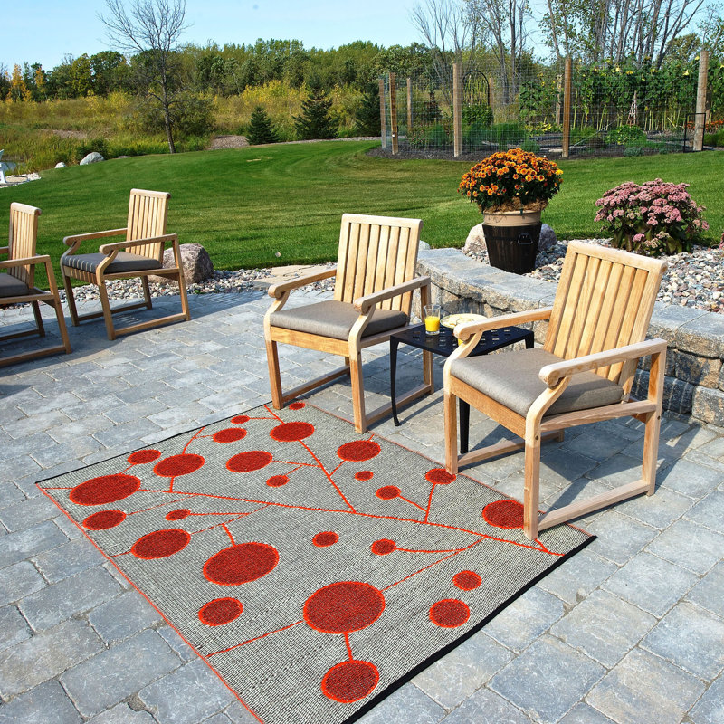 Orange Indoor Outdoor Rugs