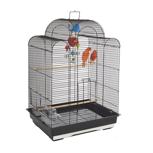Bird Cages You'll Love | Wayfair.co.uk