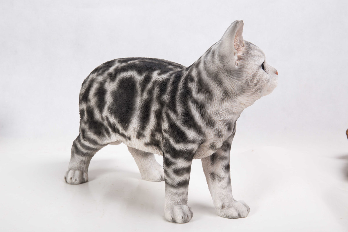 Hi-Line Gift Ltd. Standing American Shorthair Cat Statue & Reviews ...