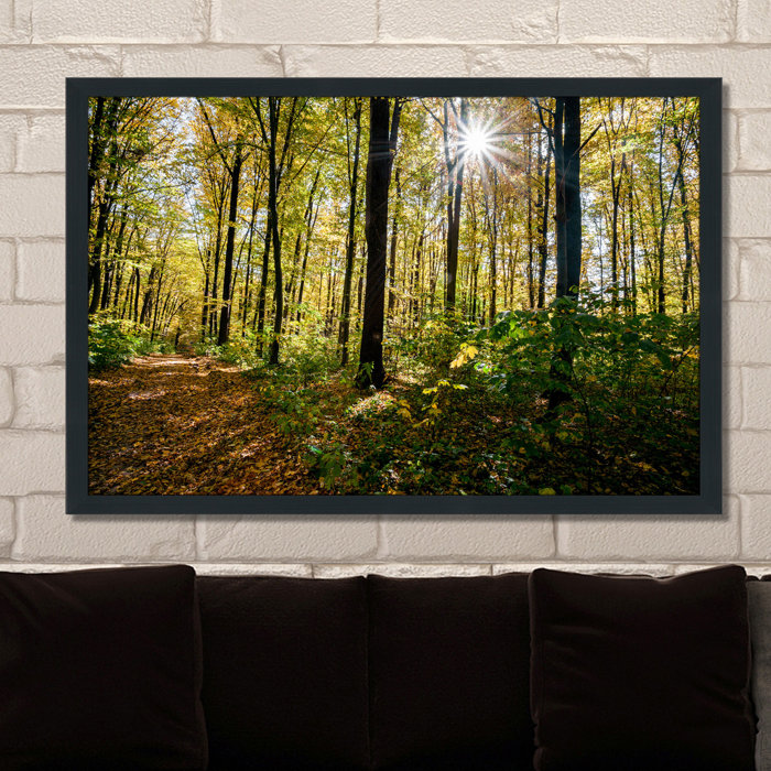 PicturePerfectInternational "Forest Trees" Framed Photographic Print ...