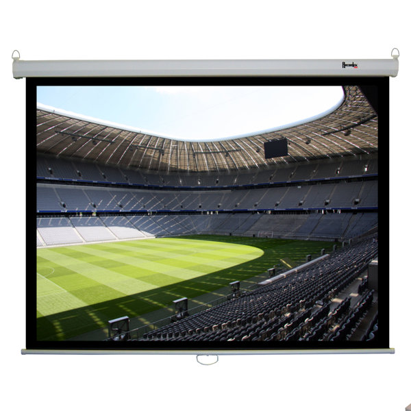 Projection Screens You'll Love in 2021 | Wayfair