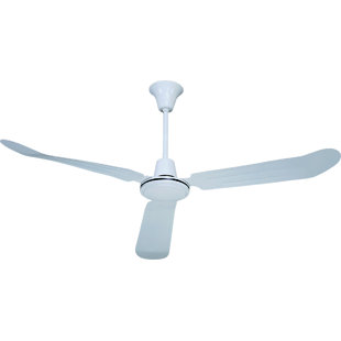 Bala Ceiling Fans | Wayfair
