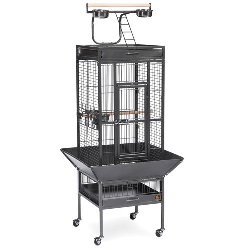 Large Bird Cages You'll Love in 2020 | Wayfair.ca