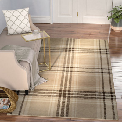 Plaid Area Rugs You'll Love | Wayfair