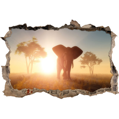 Jungle & Safari Wall Stickers | Wayfair.co.uk
