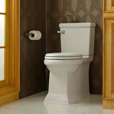 18 Inch High Toilet | Wayfair