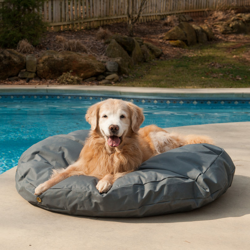 Snoozer Snoozer Dog Pillow/Classic with Waterproof Covering & Reviews ...