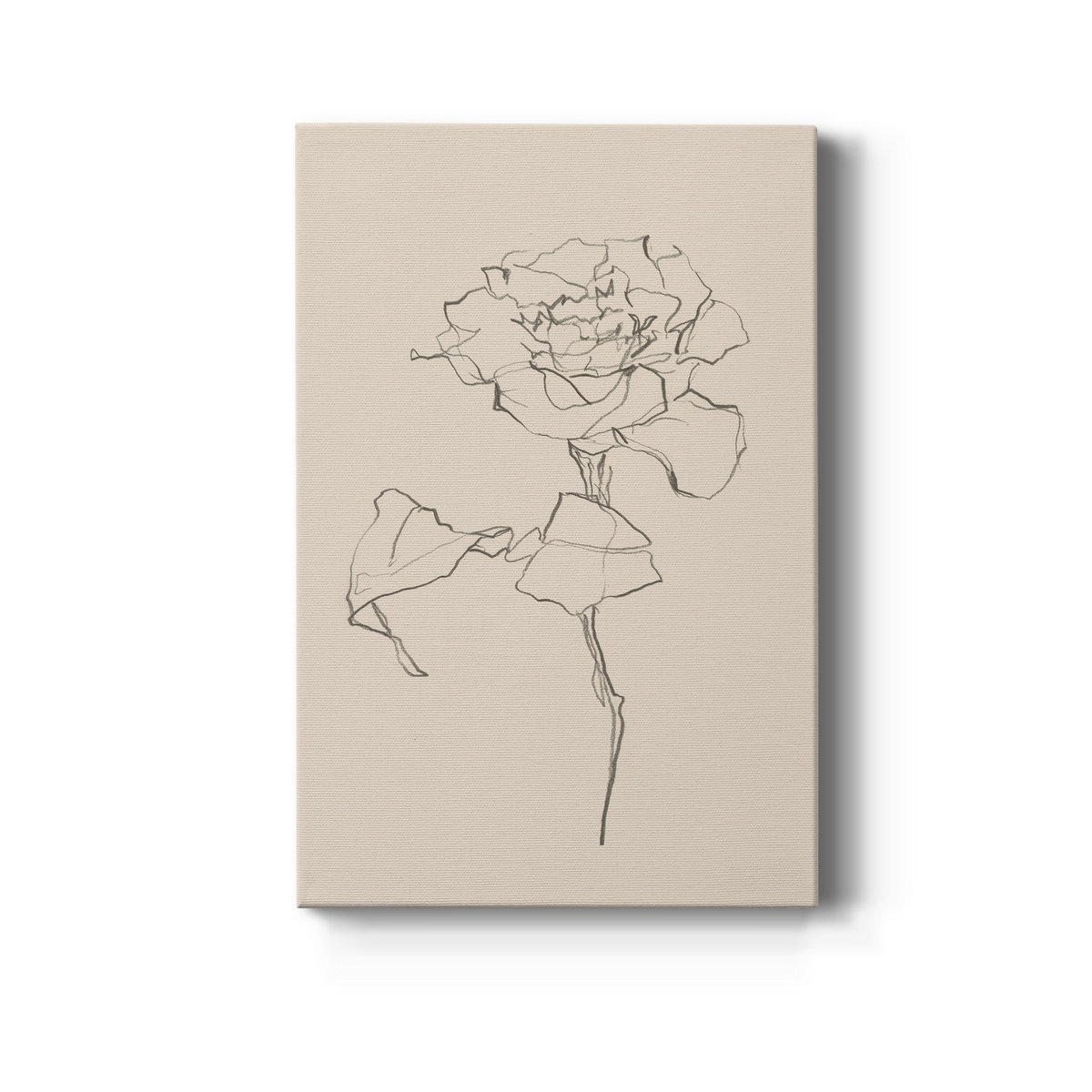 Red Barrel Studio® Floral Contour Study I Floral Contour Study I ...